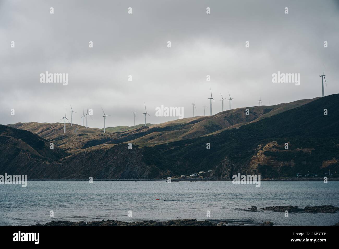 Landscape With Wind Turbine farm in Wellington, New Zealand Stock Photo ...