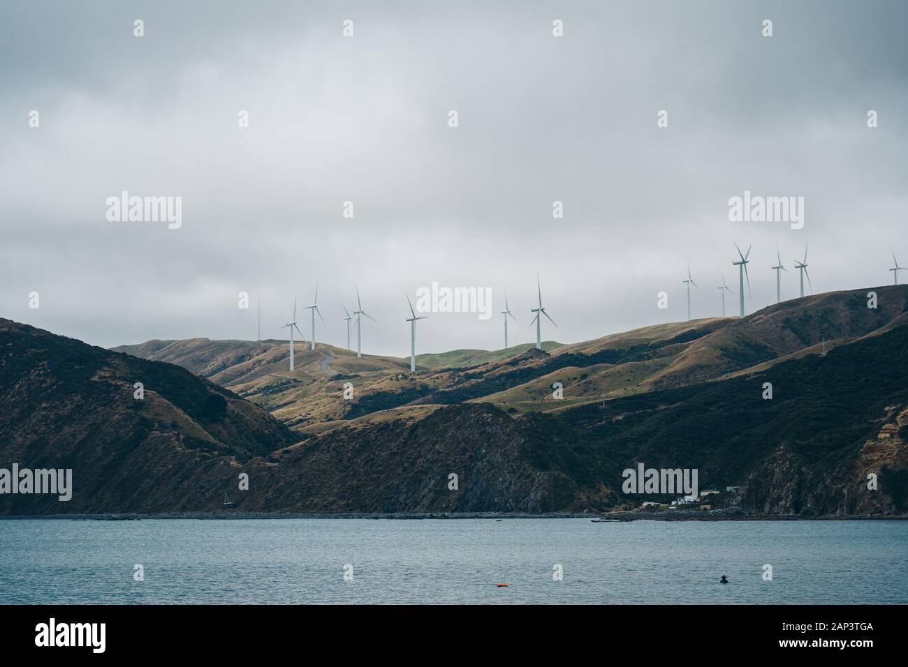 Landscape With Wind Turbine farm in Wellington, New Zealand Stock Photo ...