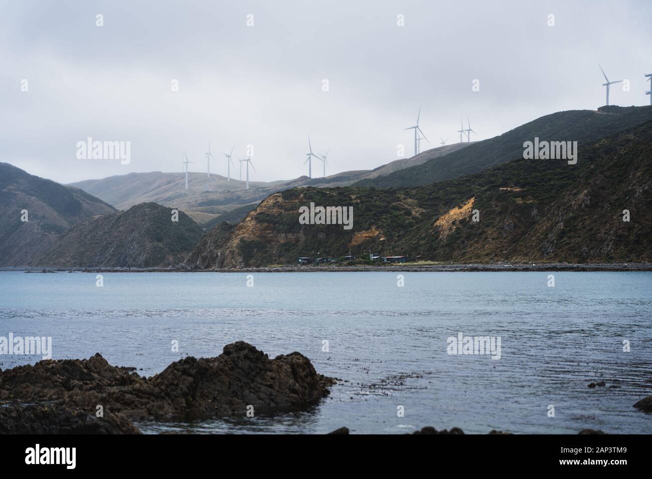 Landscape With Wind Turbine farm in Wellington, New Zealand Stock Photo ...
