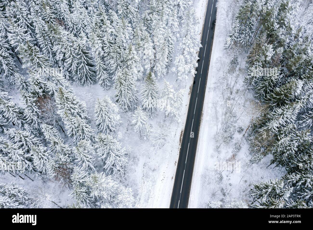 Suburban forest hi-res stock photography and images - Alamy