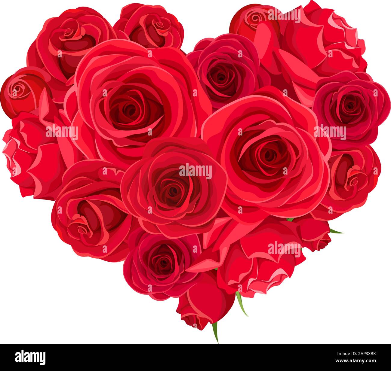 Vector Valentine’s day heart of red roses isolated on a white ...