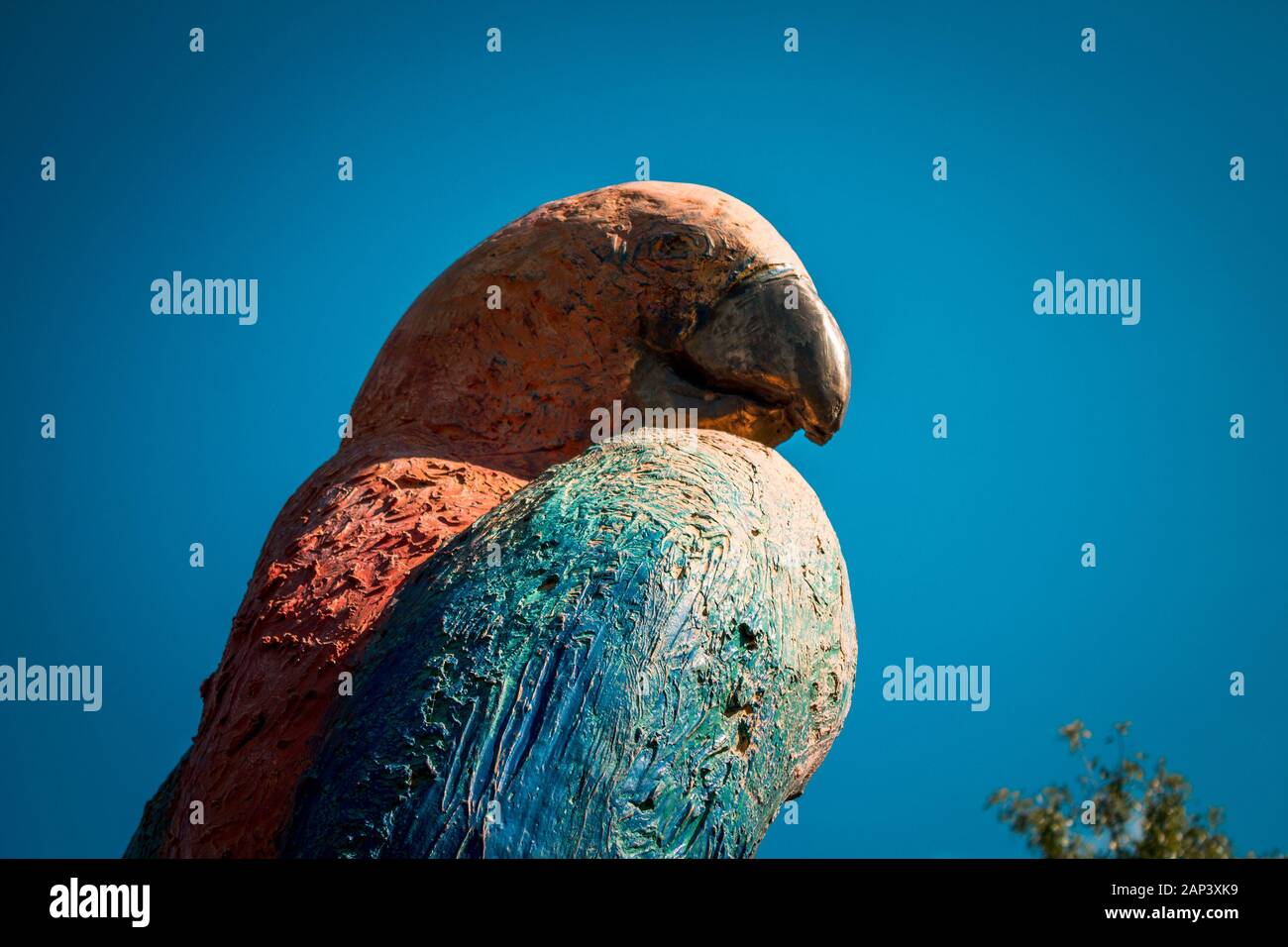 Parrot statue hi-res stock photography and images - Alamy