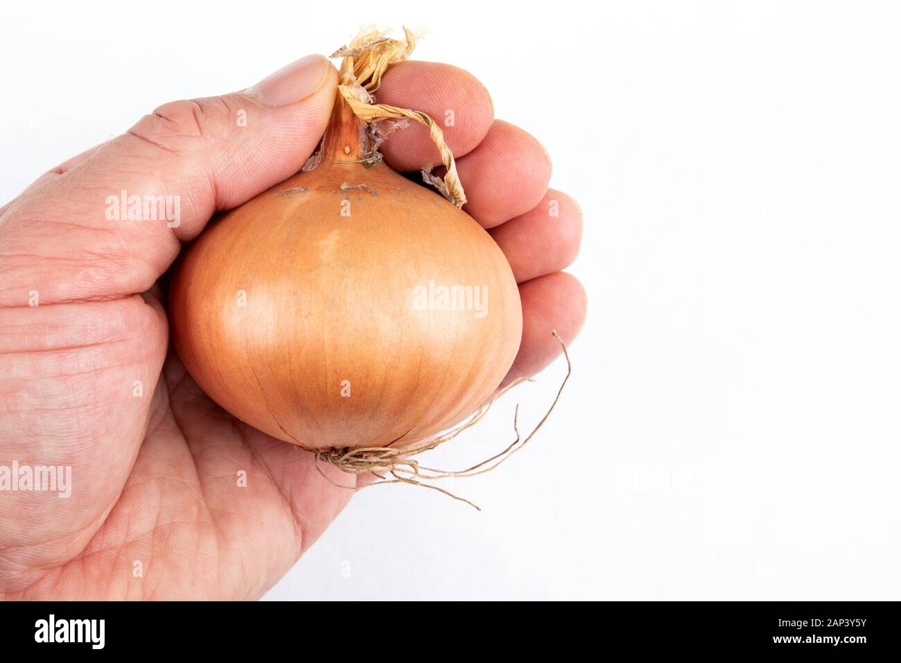 Yellow onion in male hand on white background. Food, spice and vitamins ...