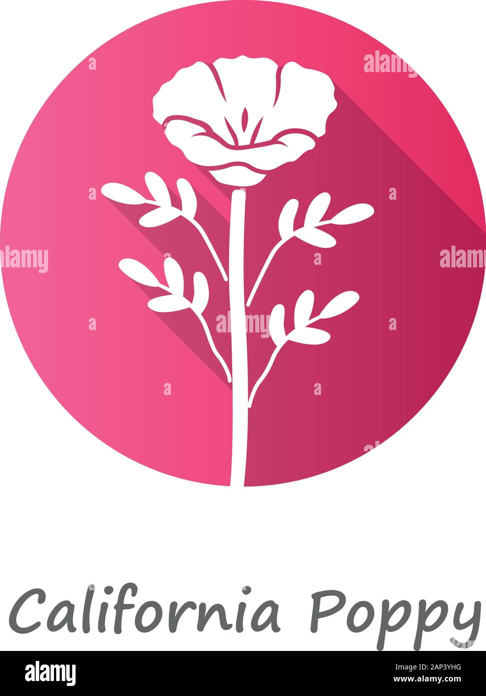 Poppy opium drop Stock Vector Images - Alamy