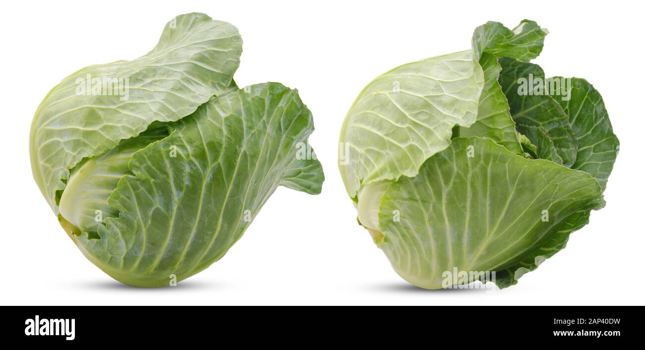Green Cabbage isolated on white background Stock Photo - Alamy