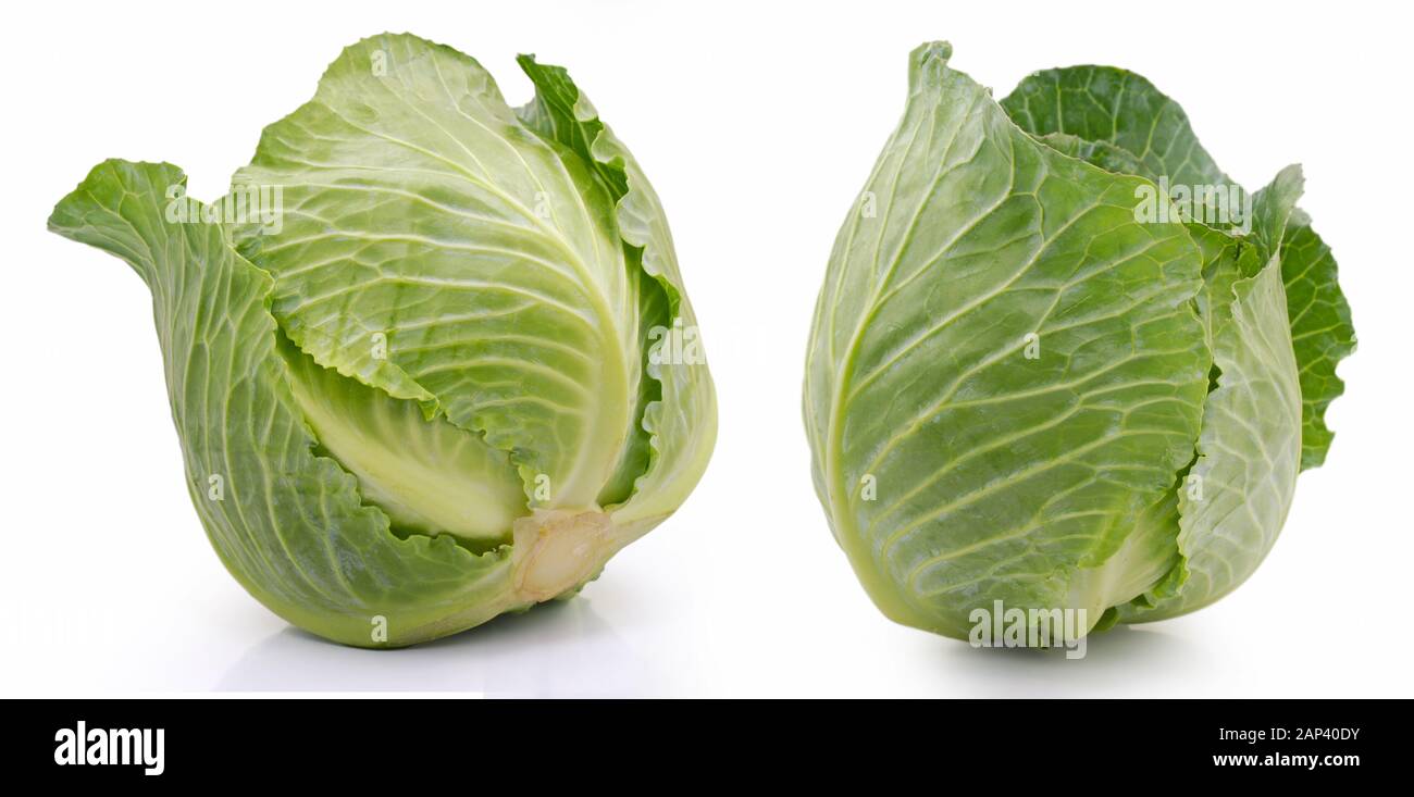 Green Cabbage isolated on white background Stock Photo - Alamy