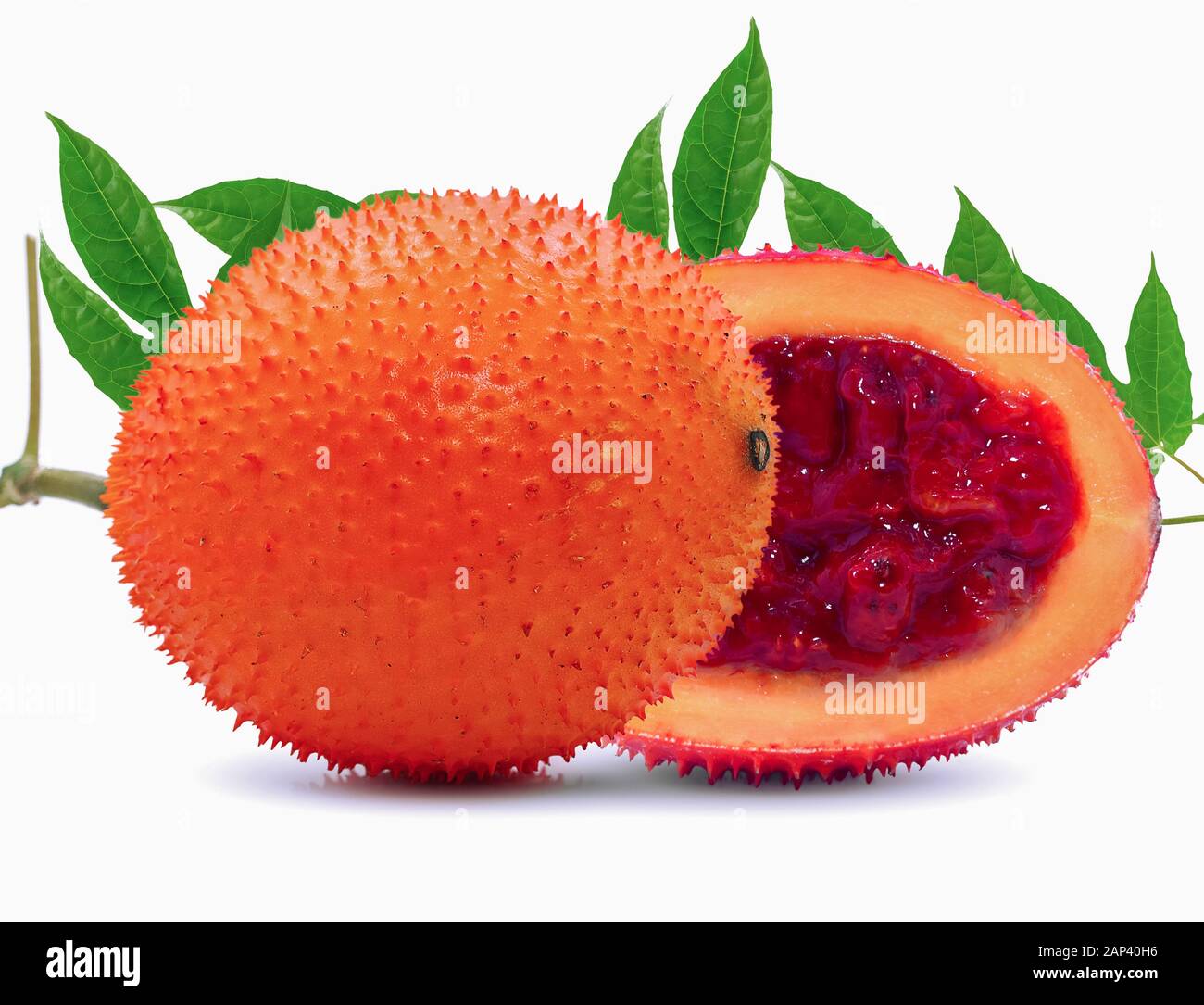 Gac fruit or baby jackfruit isolated on white background Stock Photo ...