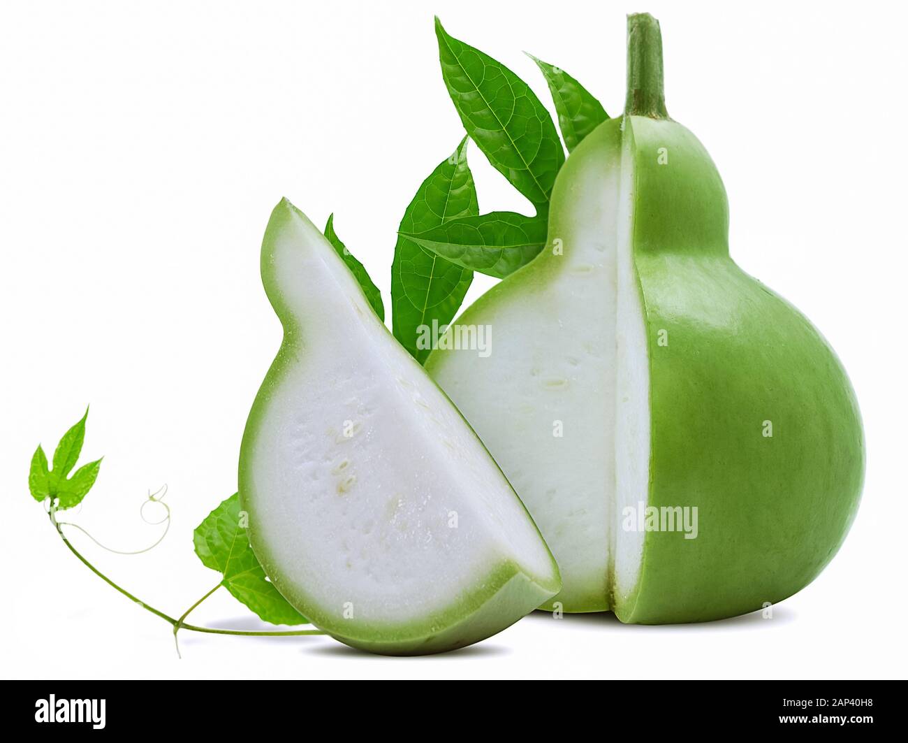 Bottle gourd lagenaria siceraria hi-res stock photography and images ...