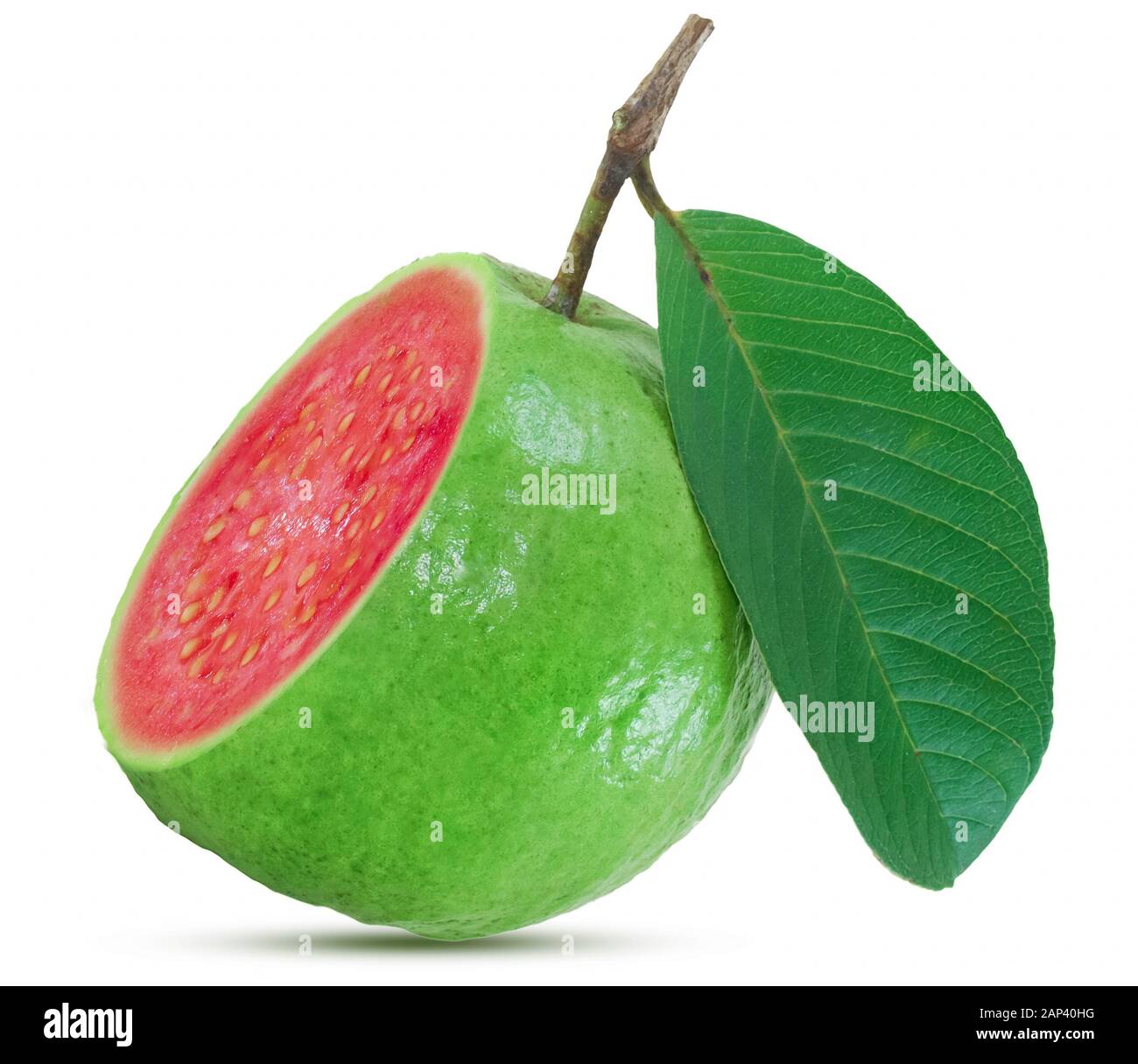 Guava fruit isolated on white background Stock Photo - Alamy