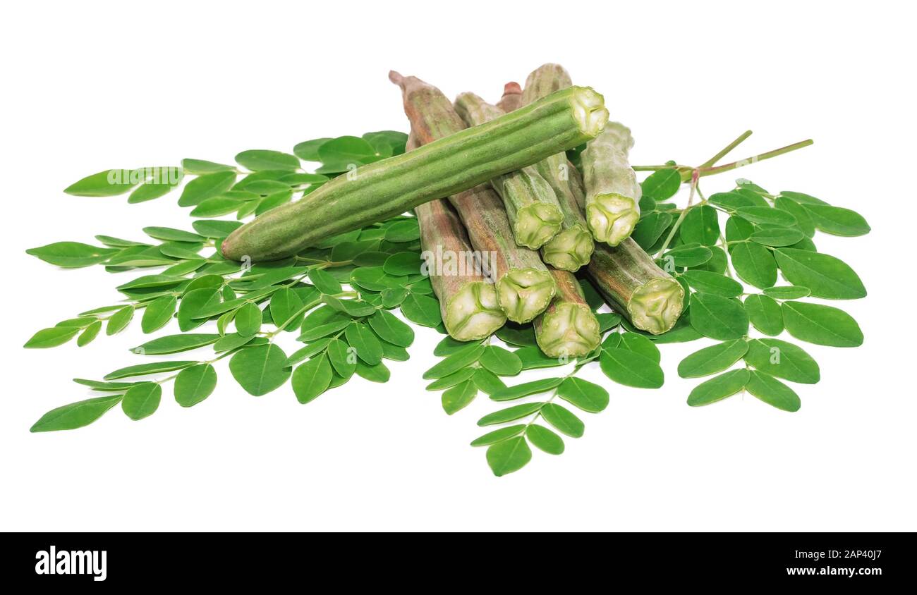 Moringa oleifera hi-res stock photography and images - Alamy