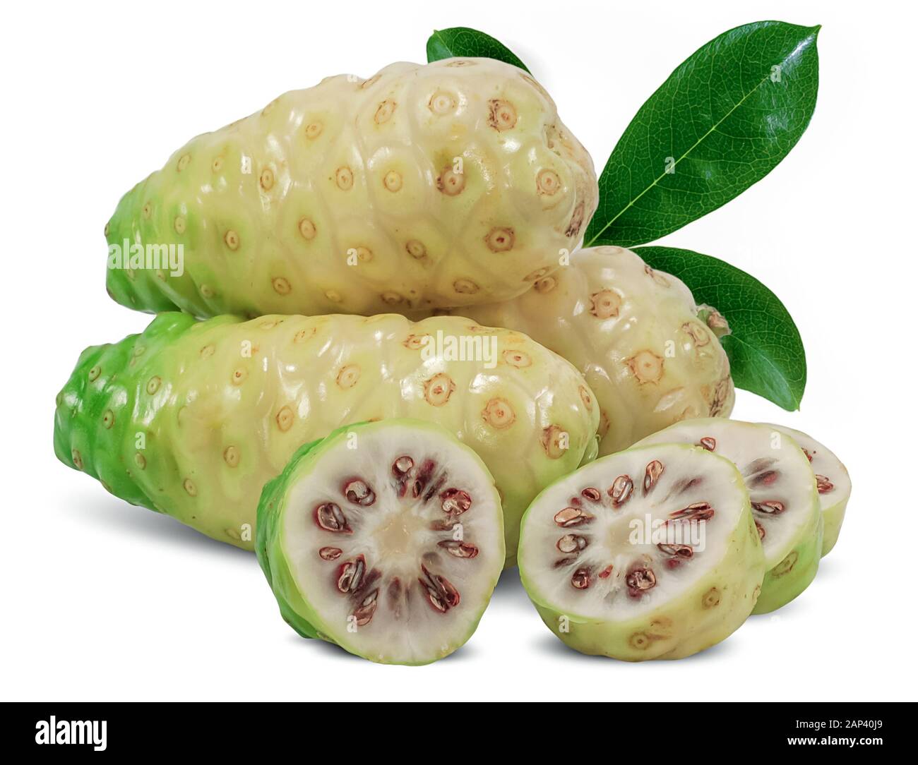 Noni or Morinda fruits isolated on white background Stock Photo - Alamy