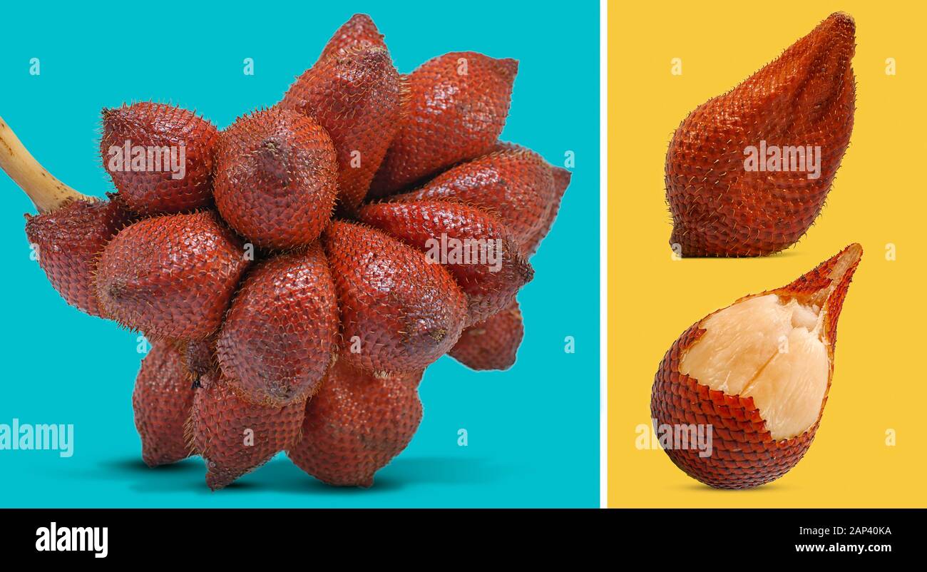 Snake fruit hi-res stock photography and images - Alamy