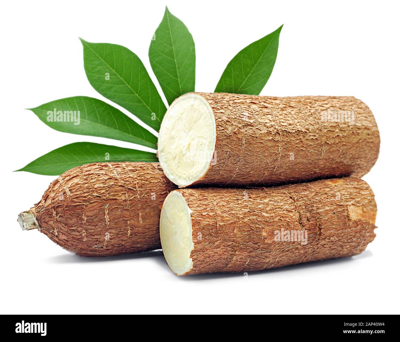 Single object of Cassava root isolated on white background Stock Photo ...