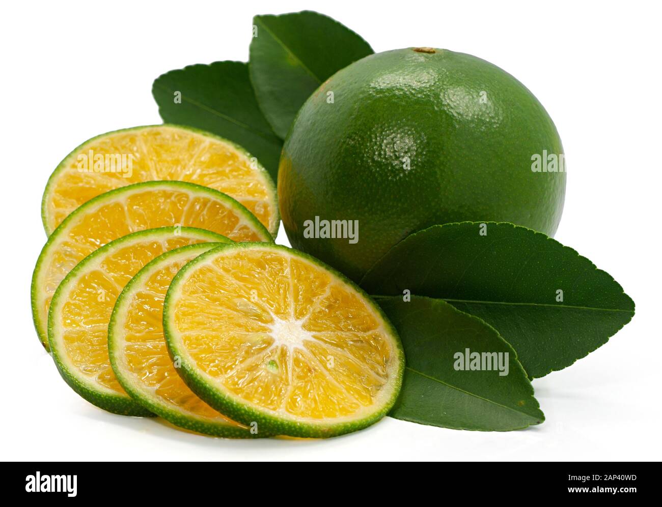 Fresh Green orange fruit isolated on white background Stock Photo - Alamy