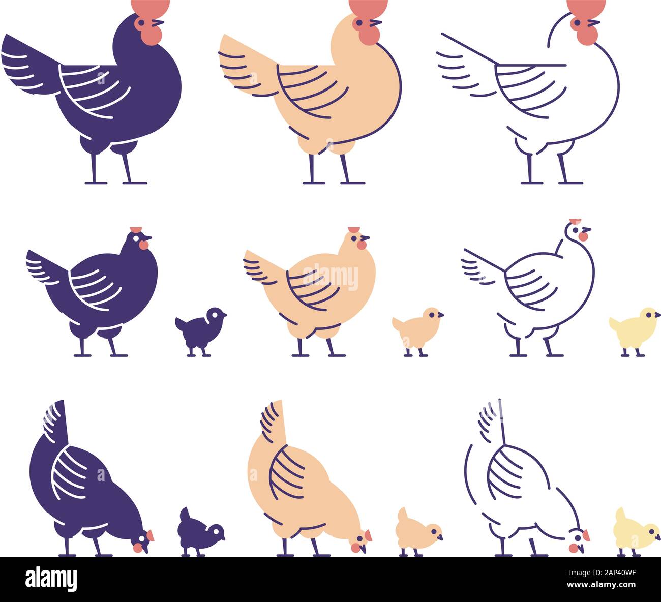 Chickens flat vector illustrations set. Multicolor chicks, hens and and ...