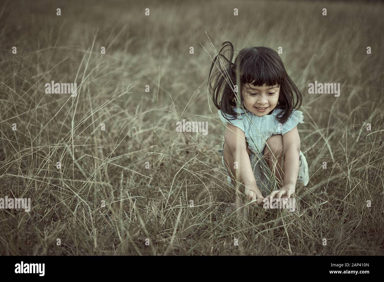 Cute little girl playing on the field Stock Photo - Alamy