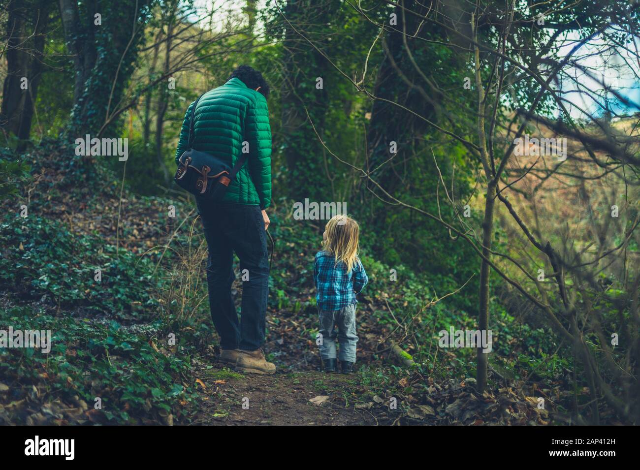A father and his little toddler are standing by a brook in the woods ...