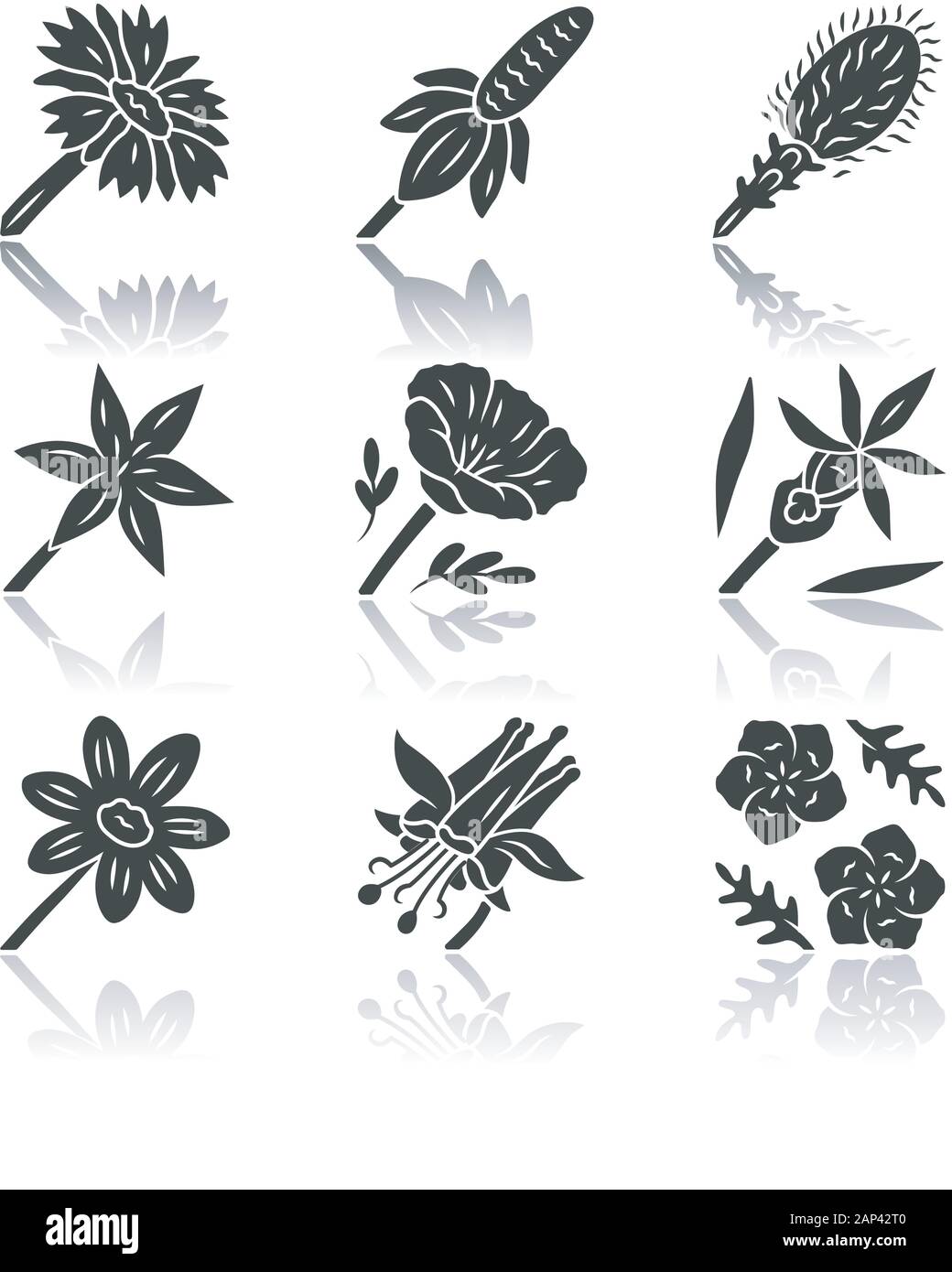 Wild flowers drop shadow black glyph icons set. Mexican hat, liatris ...