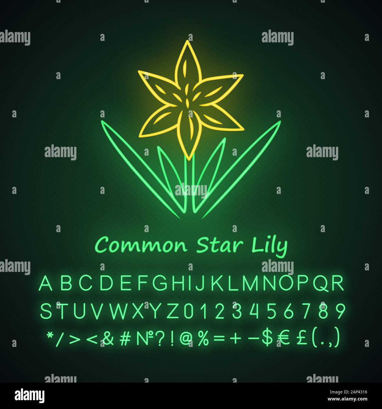 Common star lily neon light icon. Blooming wildflower. Spring blossom ...