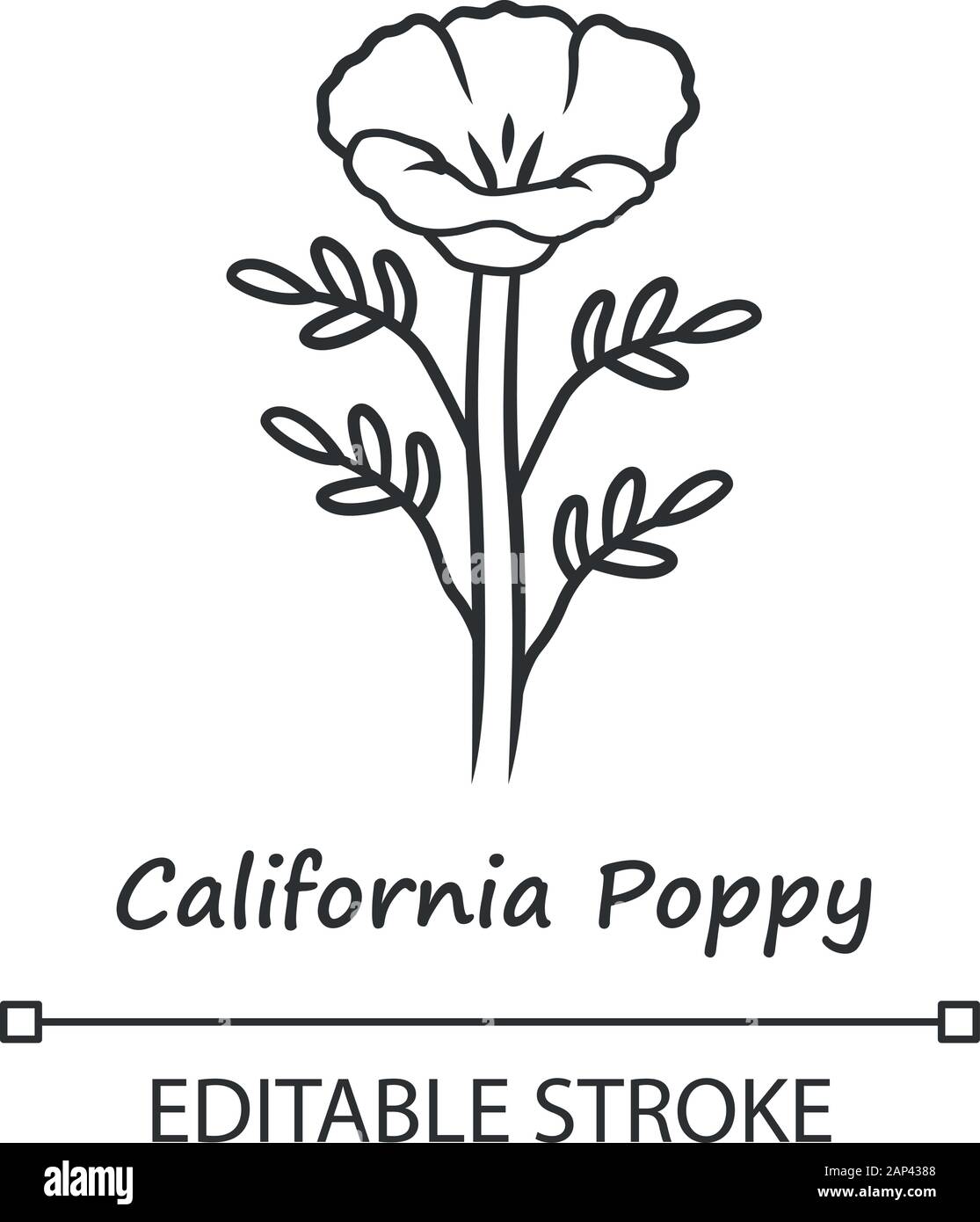 Corn plants spring Black and White Stock Photos & Images - Alamy