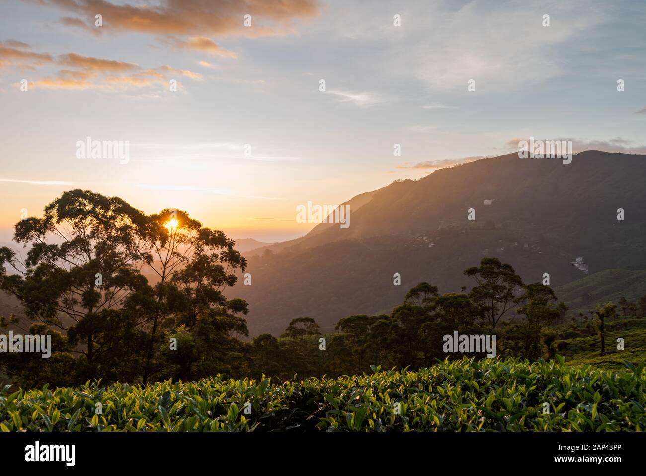 Munnar kerala sunset hi-res stock photography and images - Alamy