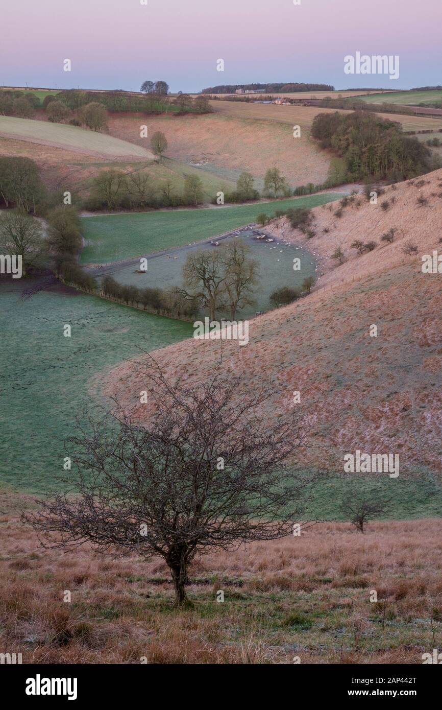 Thixen Dale, Thixendale, Yorkshire Wolds Stock Photo - Alamy
