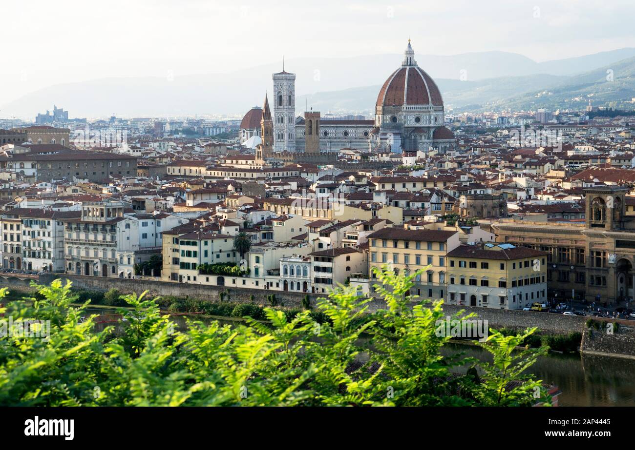 Florence bush hi-res stock photography and images - Alamy