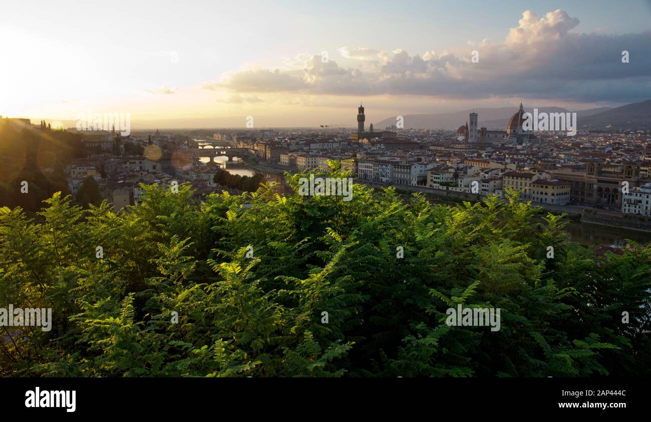 Florence bush hi-res stock photography and images - Alamy