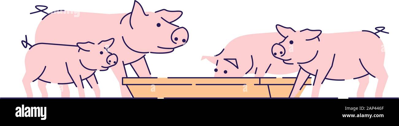 Pigs feeding flat vector illustration. Livestock farming, animal ...