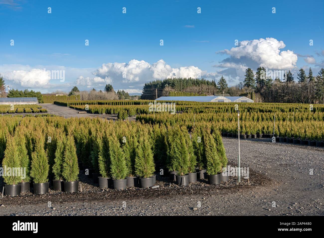 Water farm sprinklers trees hi-res stock photography and images - Alamy