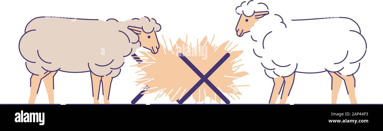 Sheeps eating hay flat vector illustration. Livestock farming, animal ...