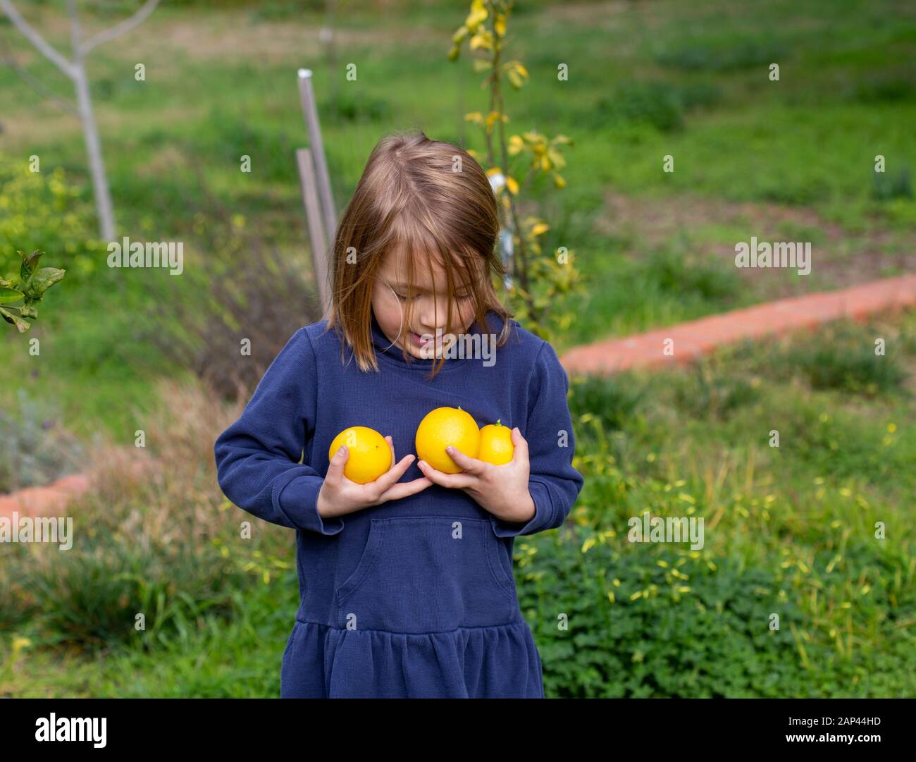 Young children, a boy and a girl, outside in a green garden picking ...