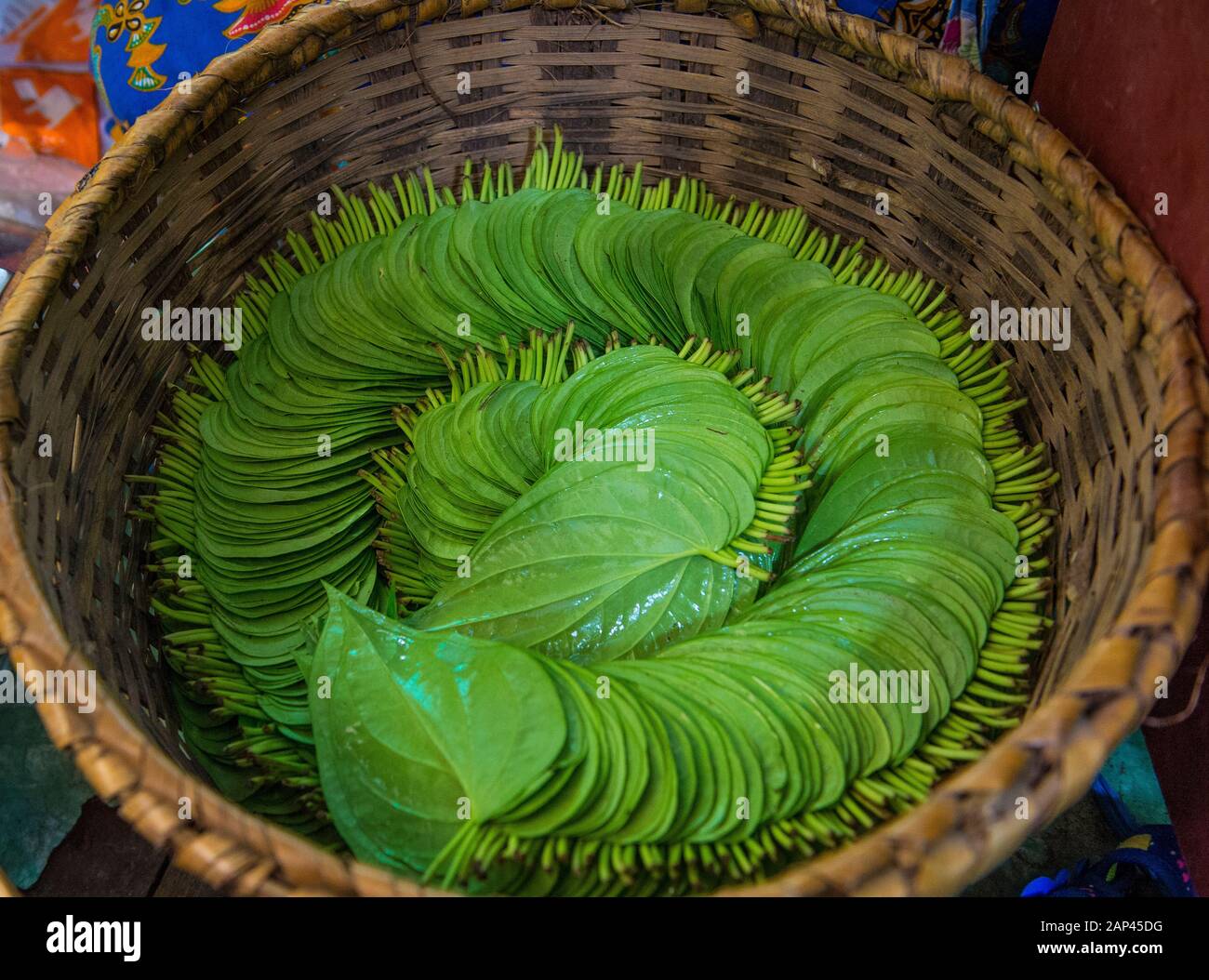 Basket with Betel leaf in a market in Shan state Myanmar , in Myanmar ...
