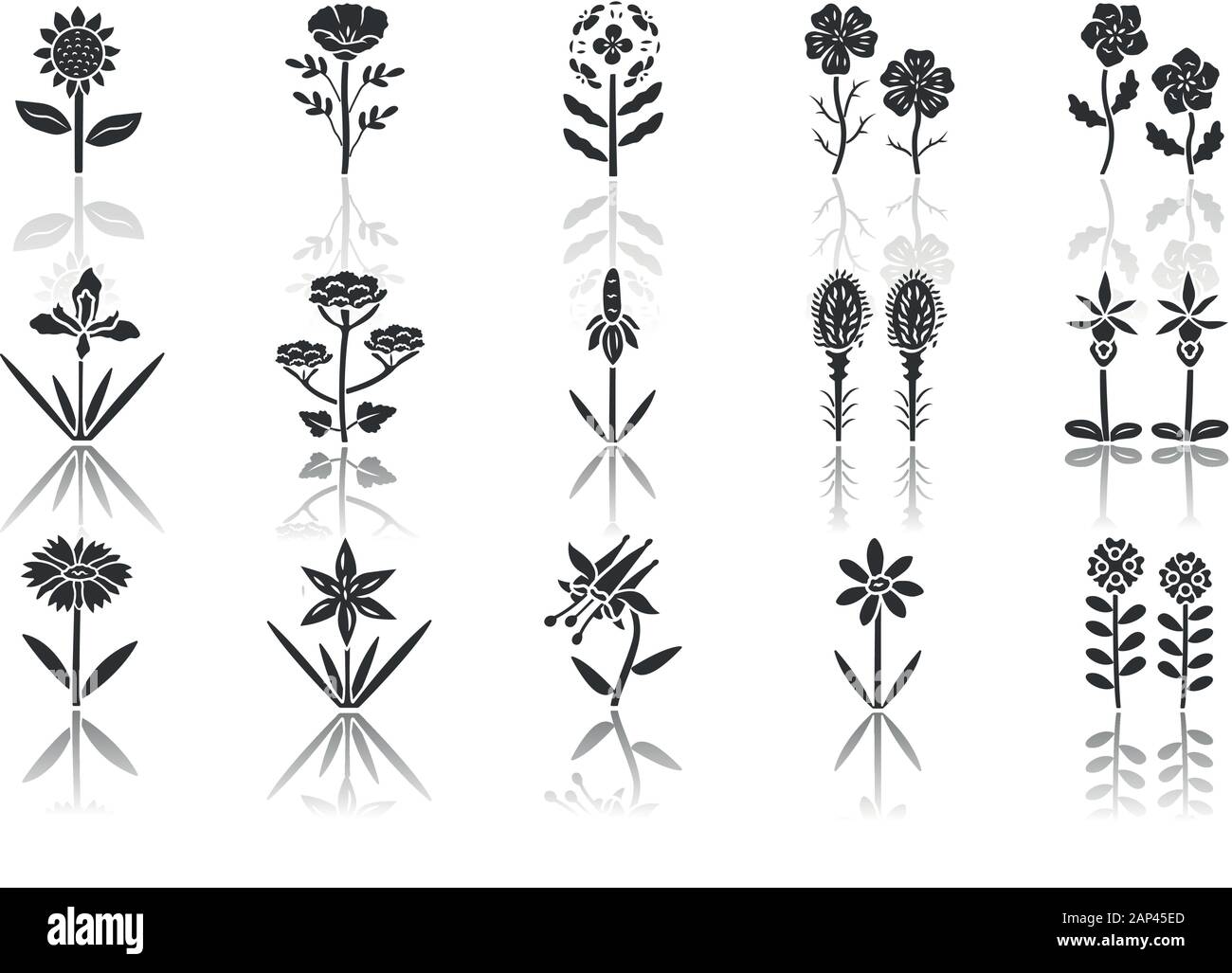 Wild flowers drop shadow black glyph icons set. Spring blossom ...