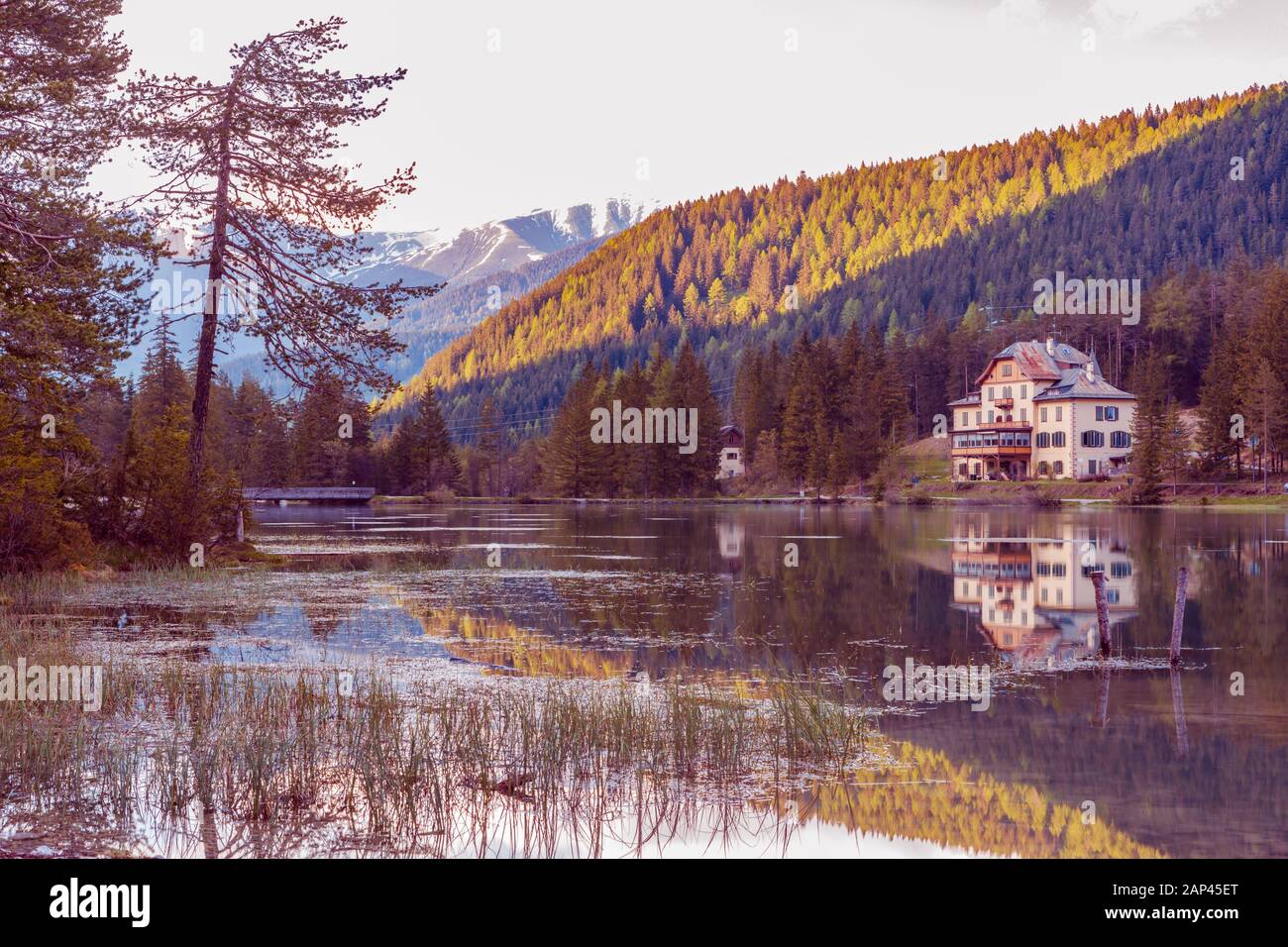 Lago di Dobbiaco alias Toblacher See in Dolomite Alps, South Tirol ...