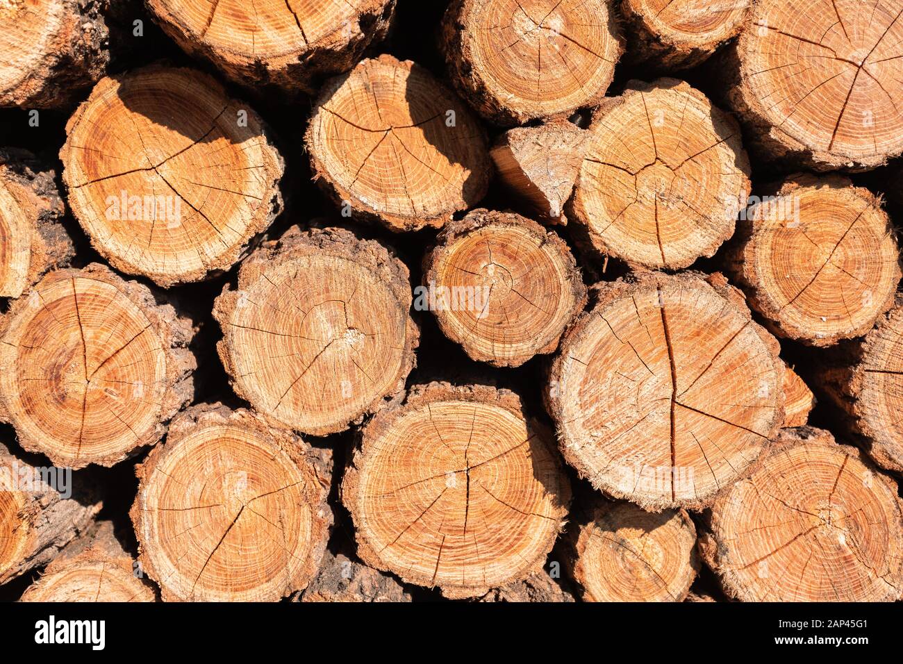 Wood cut texture background Stock Photo - Alamy