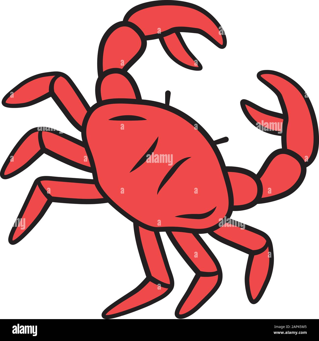 Zodiac signs as ocean animals 60 photos - Astrologytoyou.com