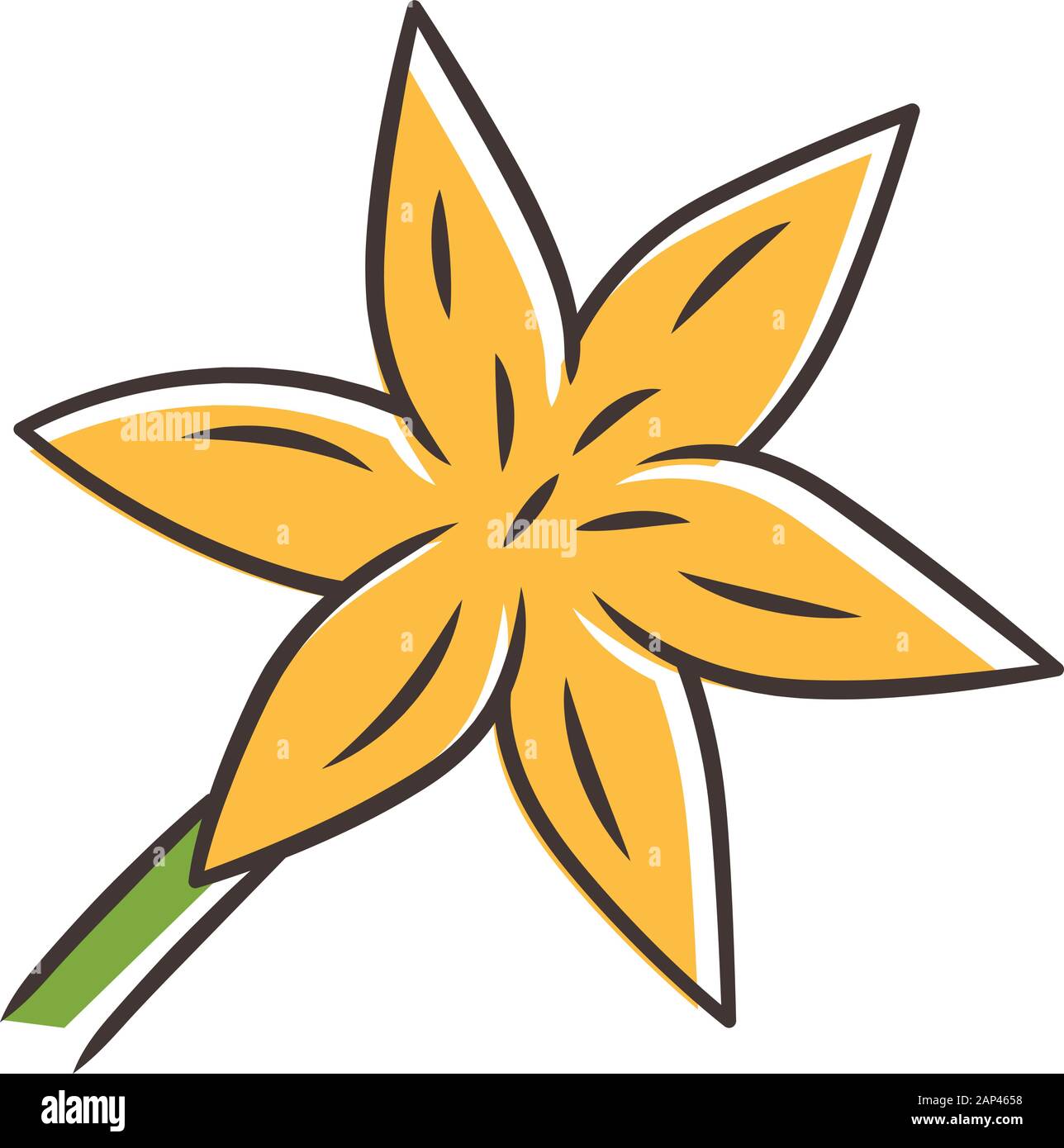 Yellow herbaceous plant Stock Vector Images - Alamy