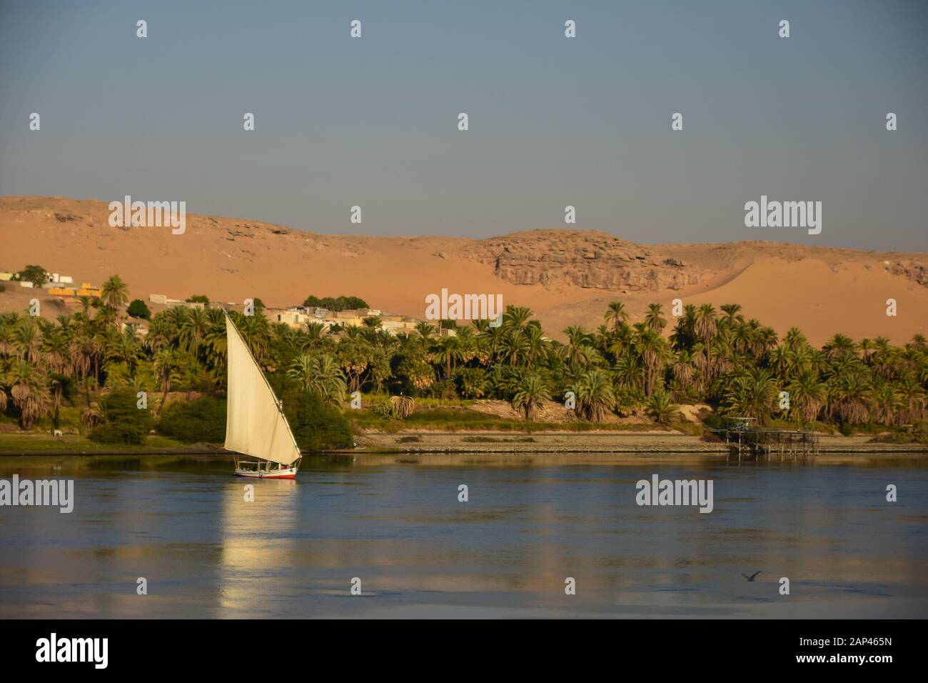 Felucca, the Egypt's traditional wooden boat, in the Nile Stock Photo ...