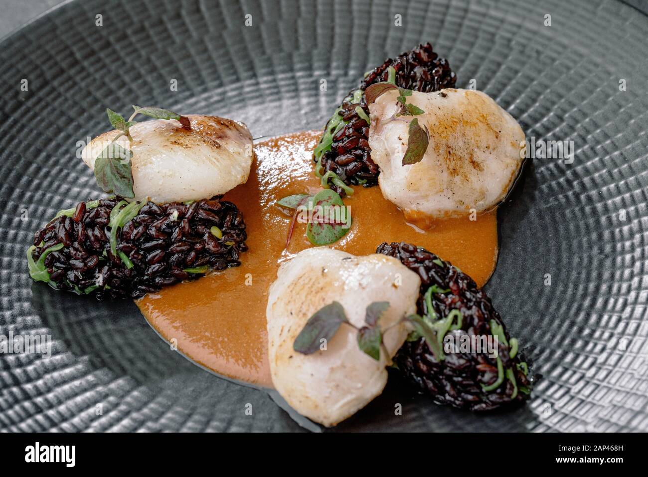 Squid cream hi-res stock photography and images - Alamy