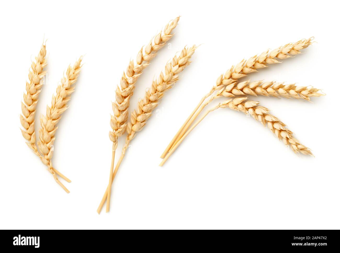 Wheat ears isolated on white background. Flat lay. Top view Stock Photo ...