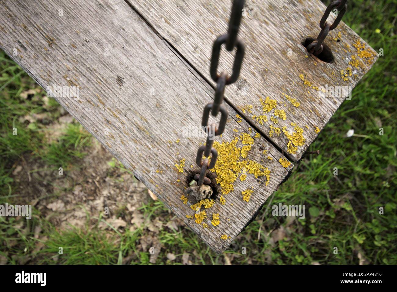 wooden old swing Stock Photo - Alamy