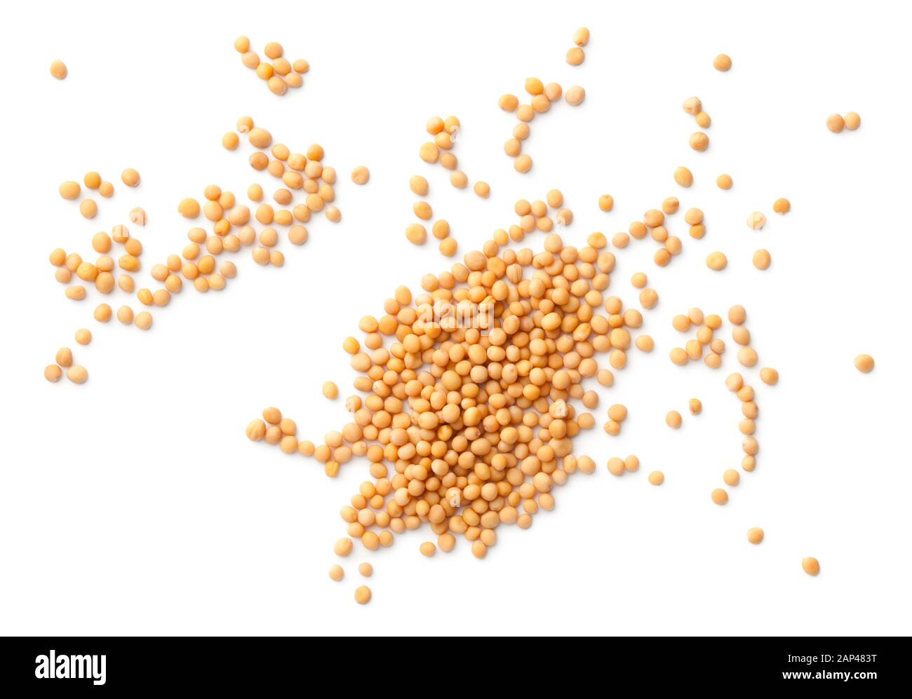 Mustard seeds isolated on white background. Slight shadow. Flat lay ...