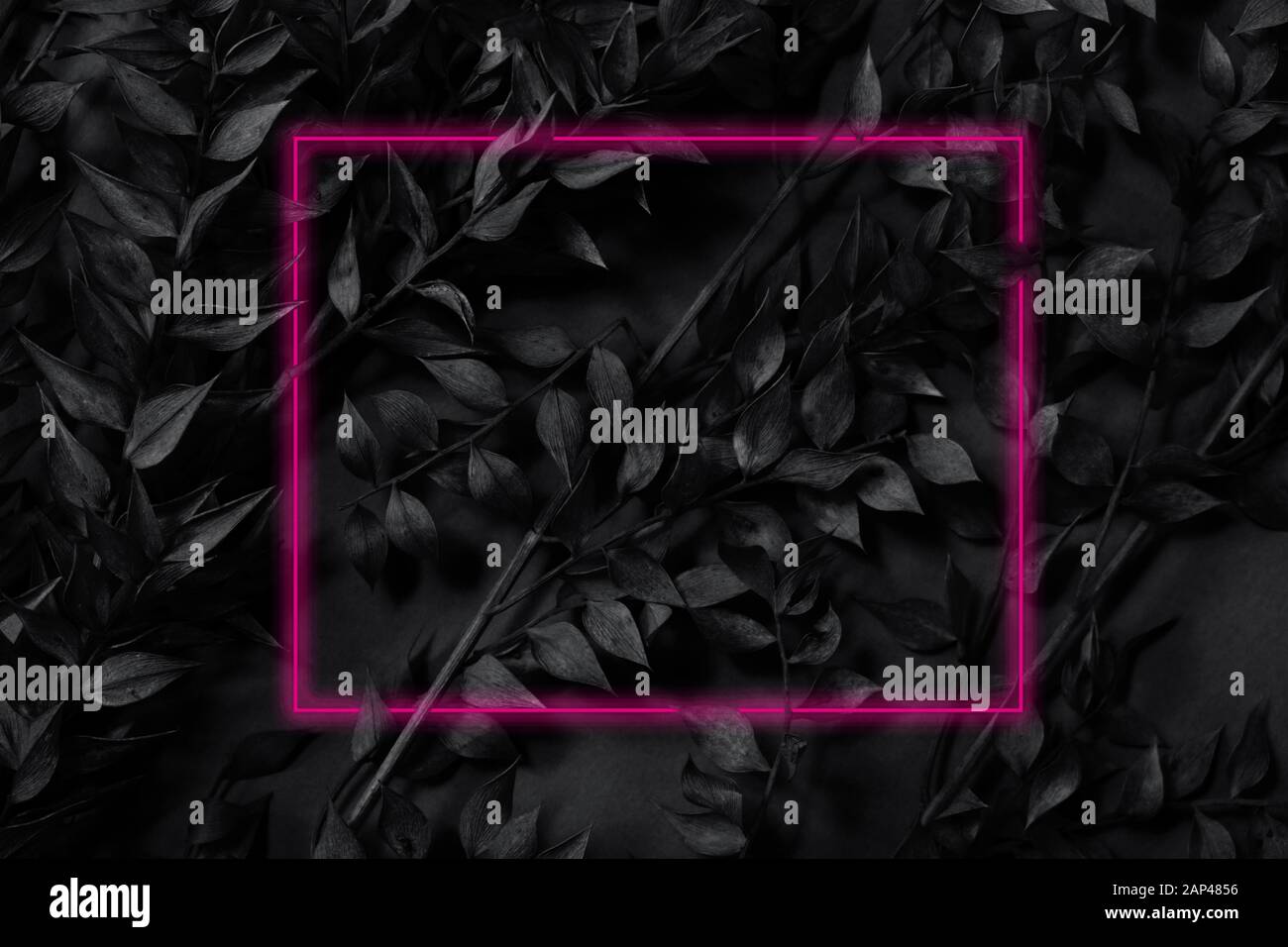 Minimal black texture abstract floral background Stock Photo - Alamy