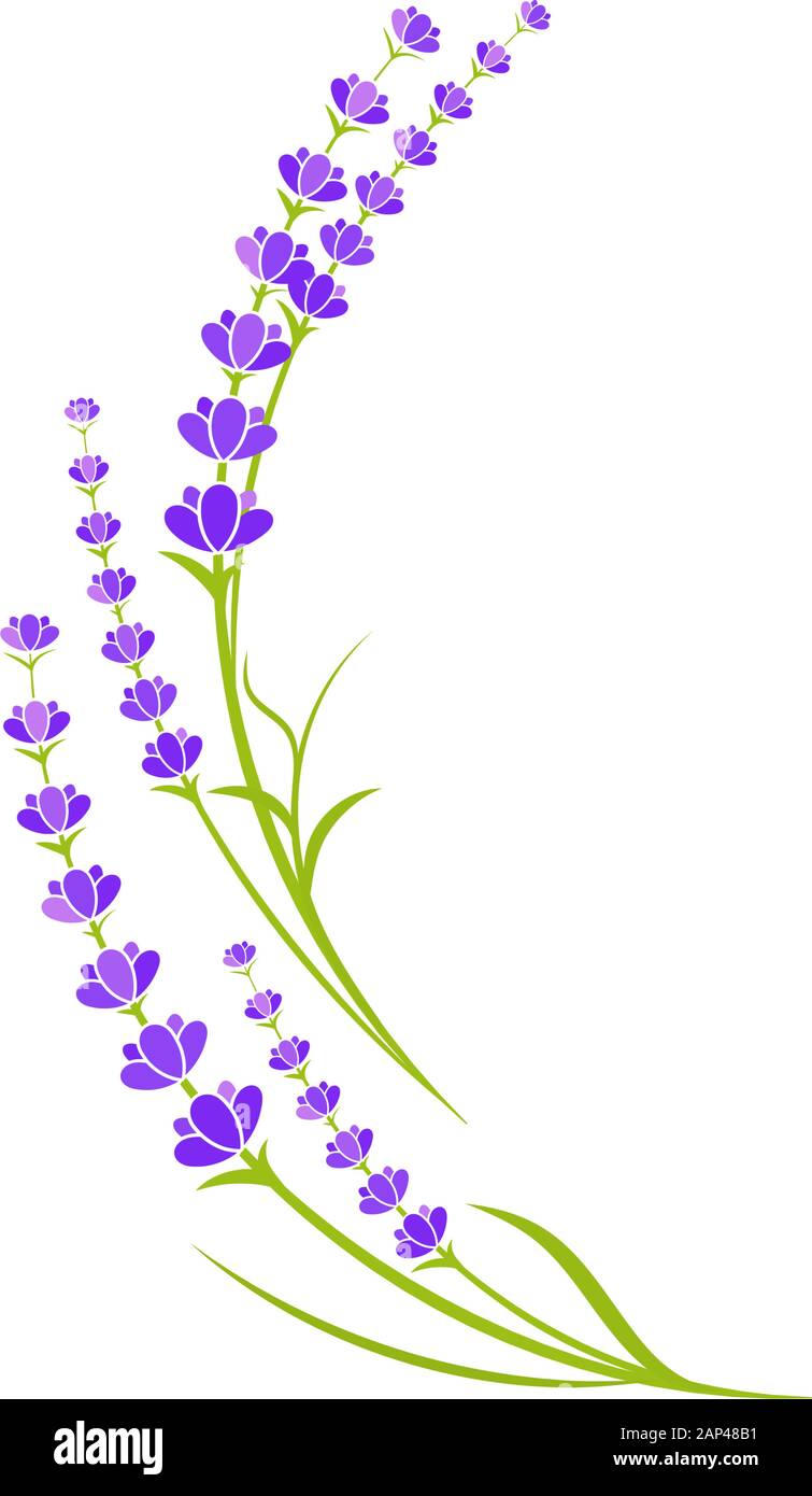 Lavender flower Vector icon illustration design Template Stock Vector ...