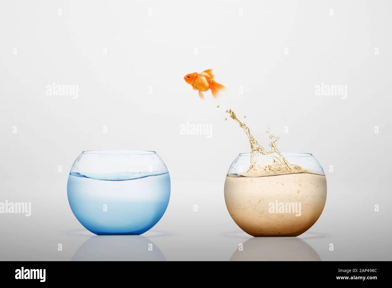 Gold fish jumping out of fish bowl hi-res stock photography and images ...