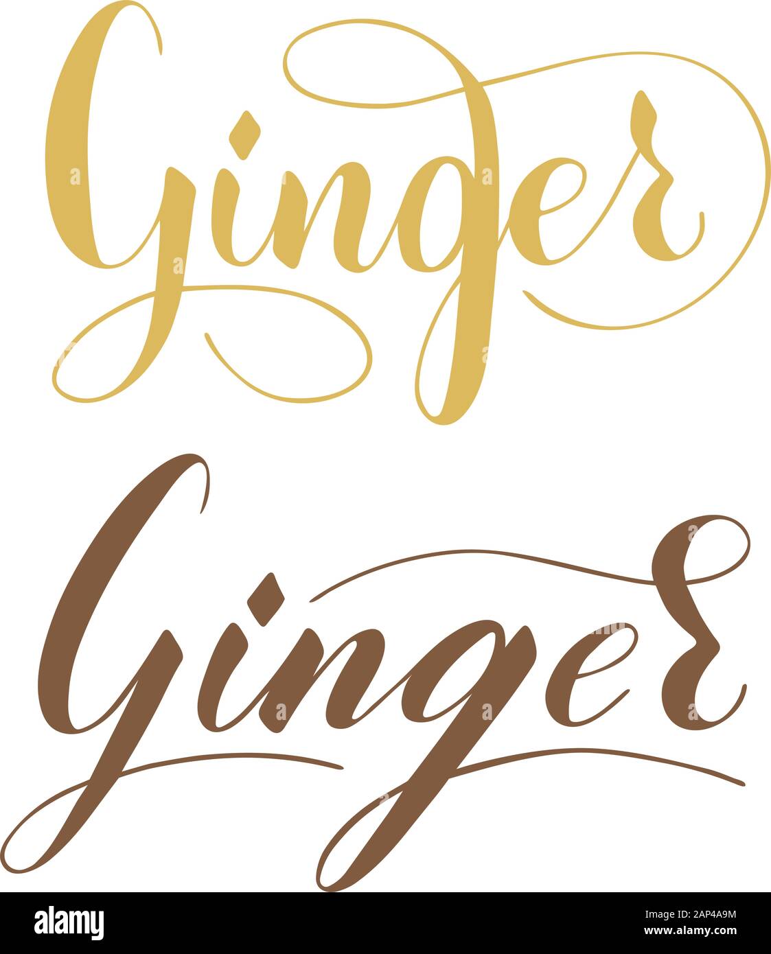 Vector hand written ginger text isolated on white background. Kitchen ...