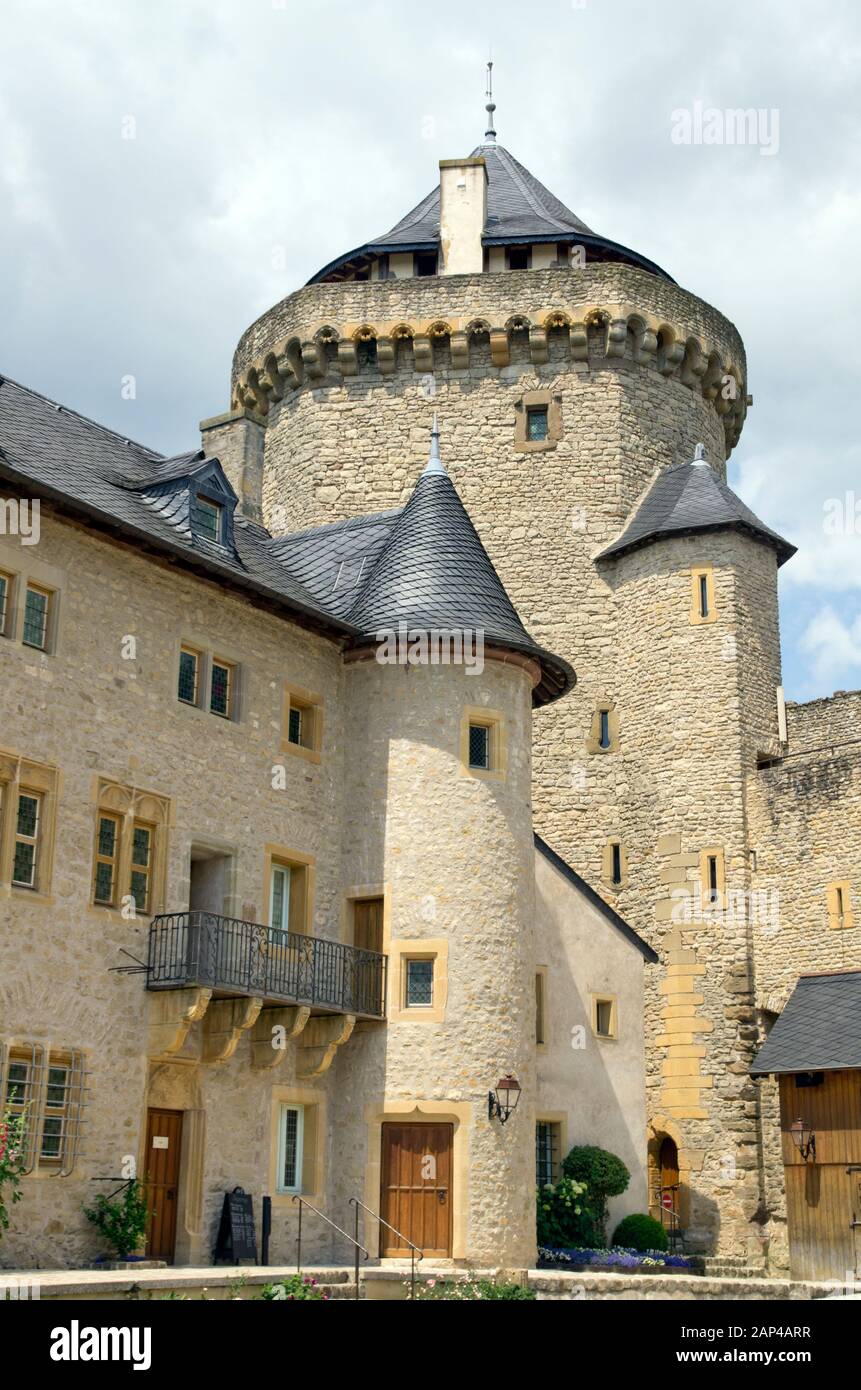 Château de Malbrouck Stock Photo - Alamy