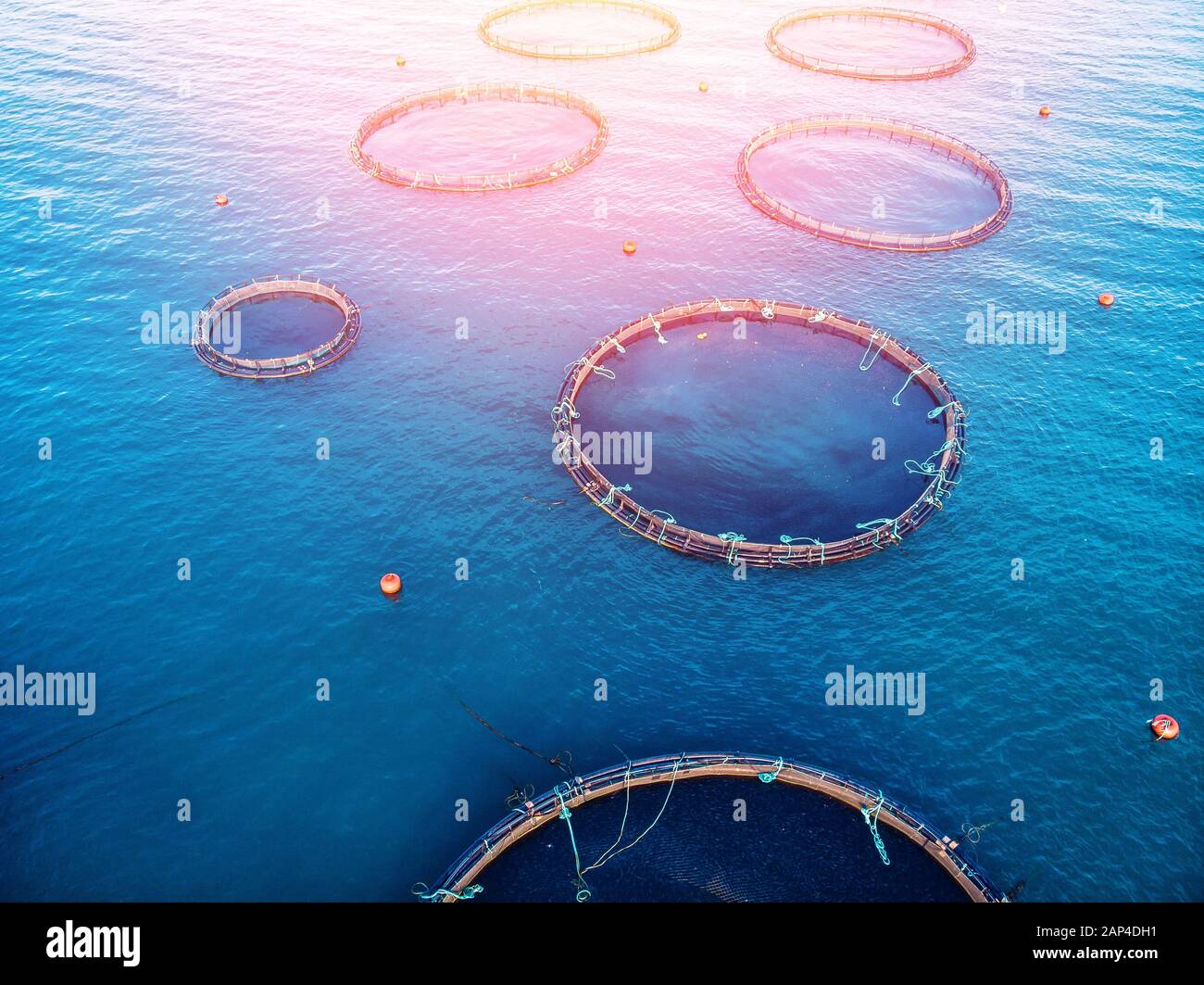 Aquaculture Fish Farm High Resolution Stock Photography and Images - Alamy