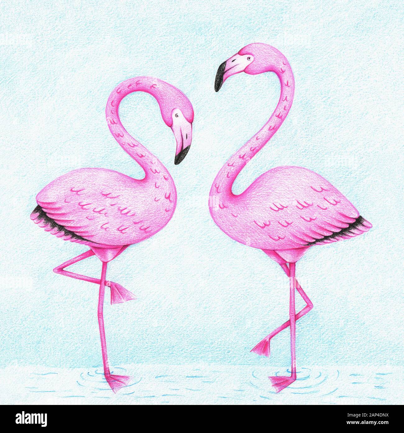 Hand drawn illustration of flamingos for kids Stock Photo - Alamy